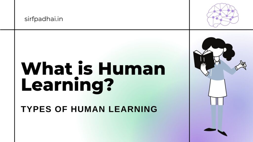 What is Human Learning? | Types of Human Learning » Sirf Padhai
